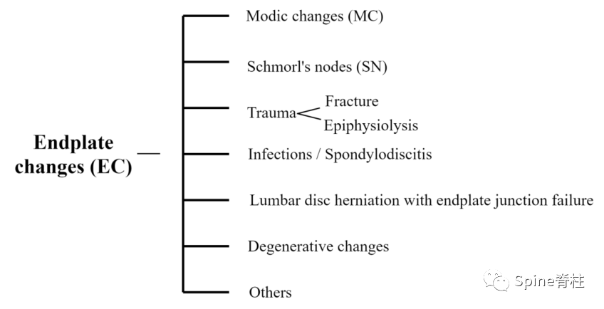 Modic改变的定义和临床分级-德医学院-助力医学教育发展！